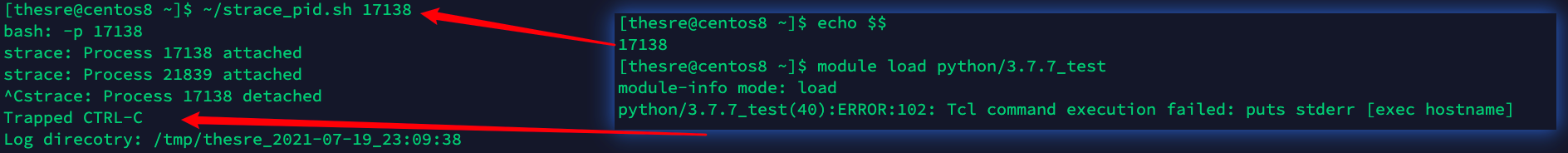 tmp module Load modulefile Ben CSDN tmp-module-load-modulefile-ben-csdn