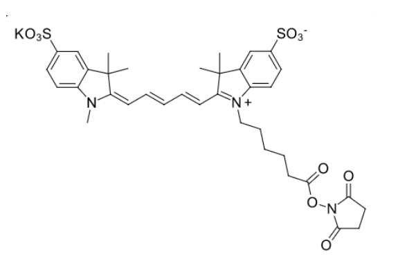 Sulfo-Cy5 NHS ester|磺酸基CY5-活性酯|CAS 号：146368-14-1-CSDN博客