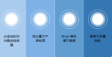 OligoGreen染料|花菁类（Cyanine系列）-引物、Oligo核酸、多肽标记染料_oligreen-CSDN博客