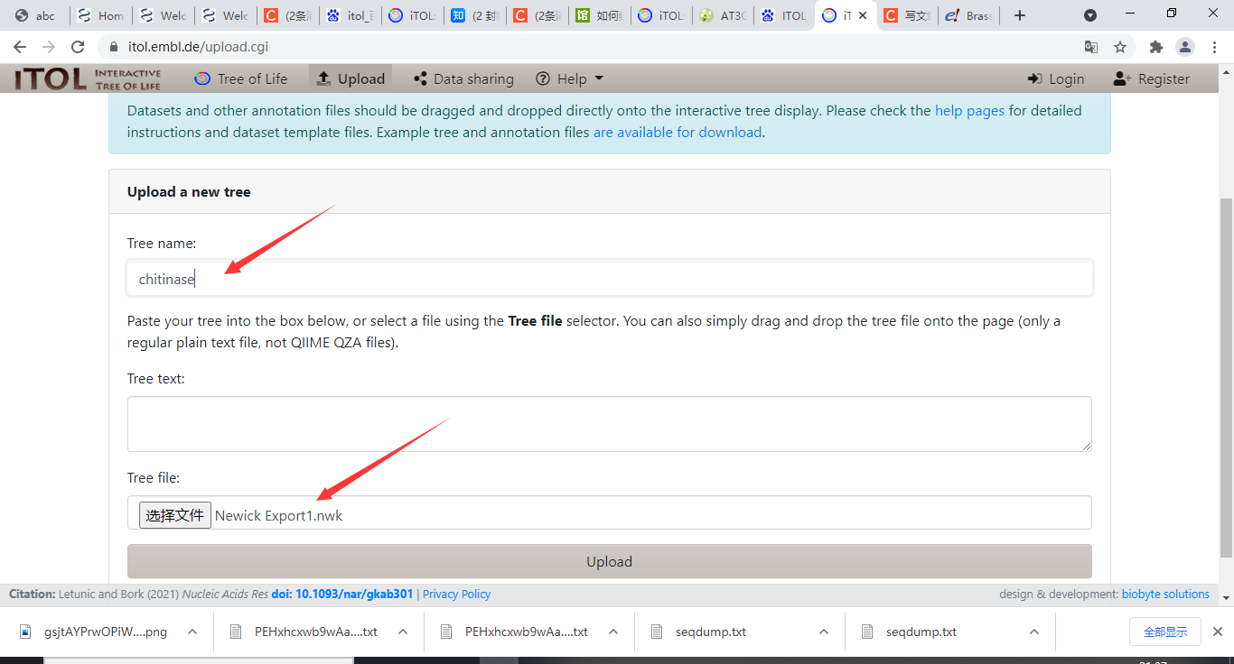 基因家族分析⑤：进化树构建_ensemblplants进化树-CSDN博客