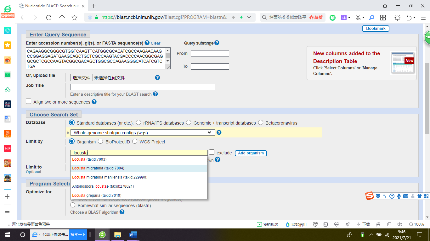 序列分析……_引物设计去除终止子-CSDN博客