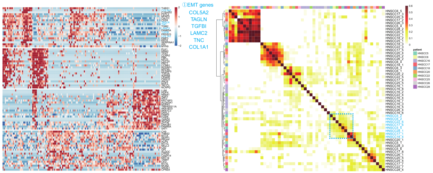 单细胞分析实录(17): 非负矩阵分解(NMF)代码演示_single-cell transcriptomic analysis of primary and-CSDN博客