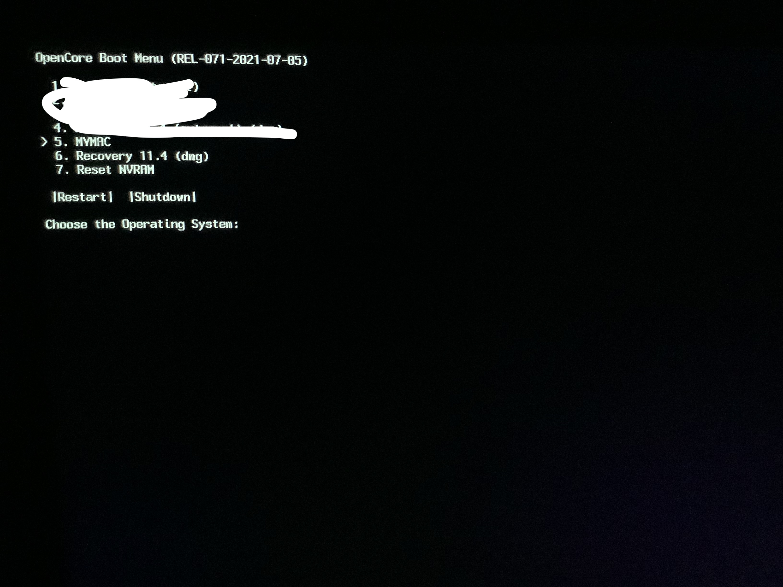 Hackintosh(黑苹果)bigsur (opencore引导)超级详细教程-CSDN博客