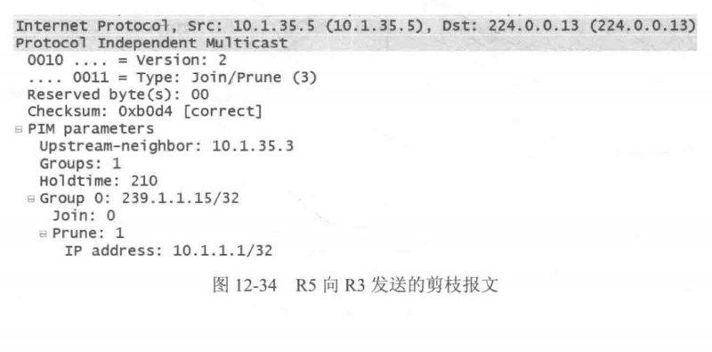 第十二章：组播 — RPF和PIM-DM-CSDN博客