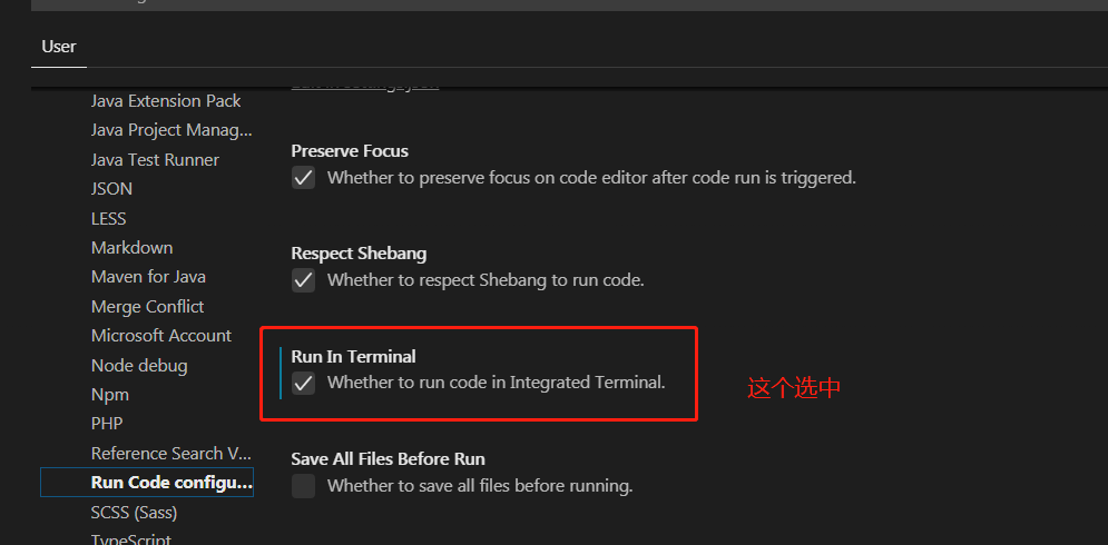 vscode怎么样才能将输出从OUTPUT改为TERMINAL_配置runcode插件的输出结果在终端输出-CSDN博客
