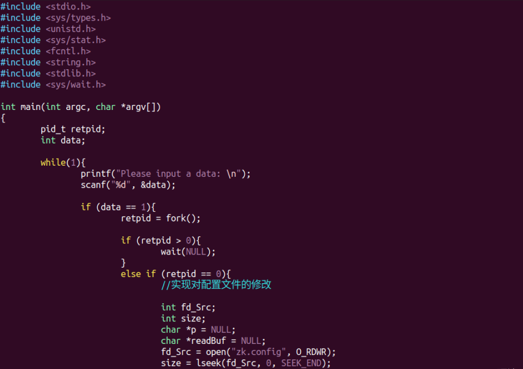 exec函数与fork函数的配合使用_exec函数里面使用了fork-CSDN博客