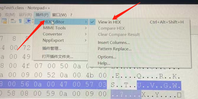 notepad++的下载及安装HEX-Editor插件_hexeditor.dll 0.9.10-CSDN博客