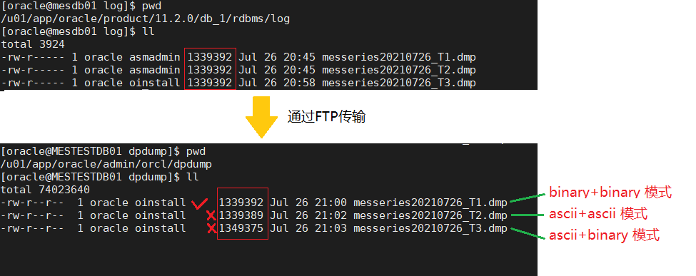 使用Contab调用Shell脚本执行expdp自动备份Oracle_oracle导出脚本expdp放到shell里面执行-CSDN博客