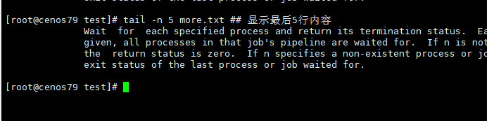 tail显示文件尾部_tail 什么参数查看最后 10 行-CSDN博客