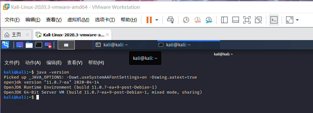 手把手教你在kali-Linux 2020.3安装webgoat_kali安装webgoat-CSDN博客