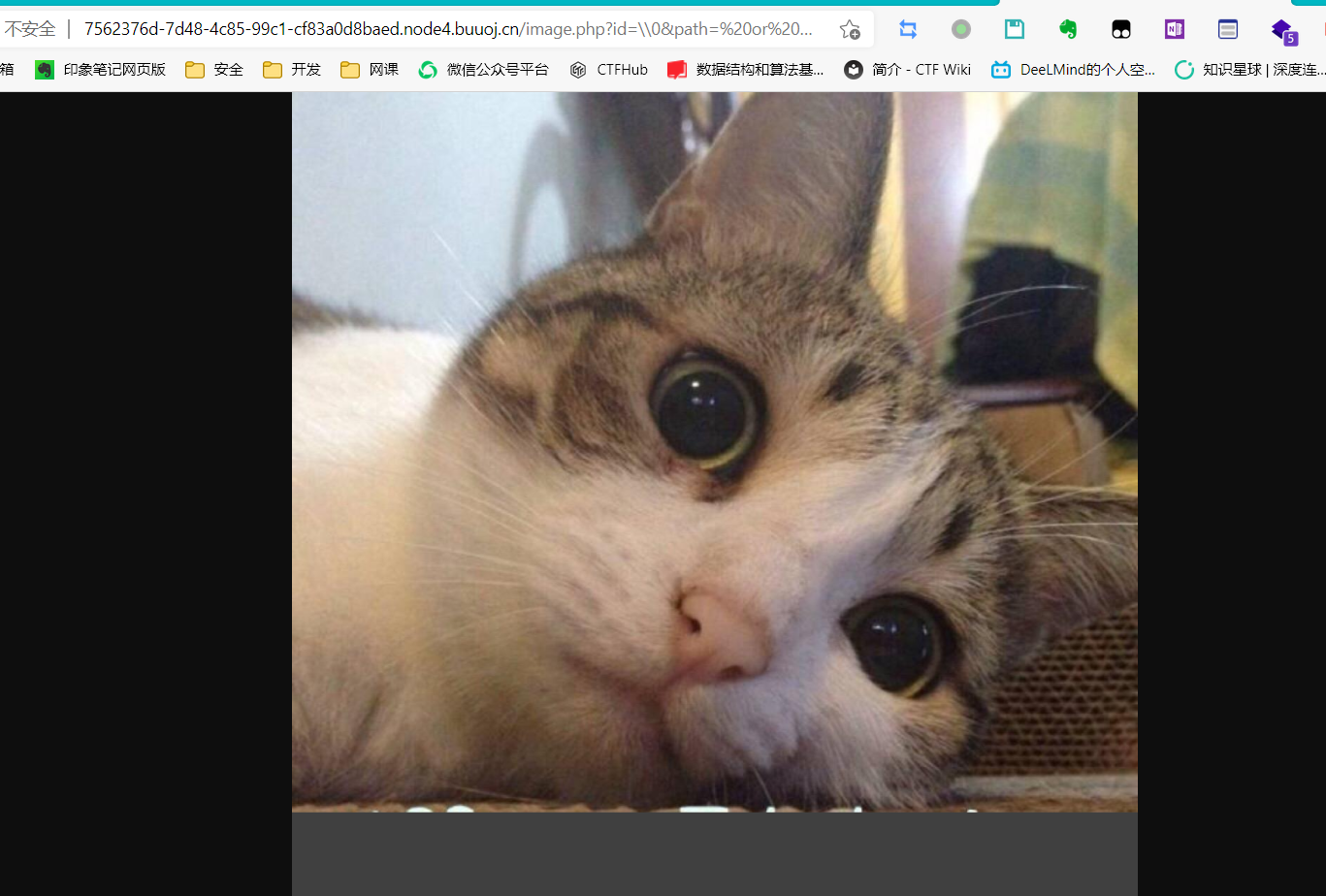 [CISCN2019 总决赛 Day2 Web1]Easyweb_2019国赛西南赛区day2web1-CSDN博客
