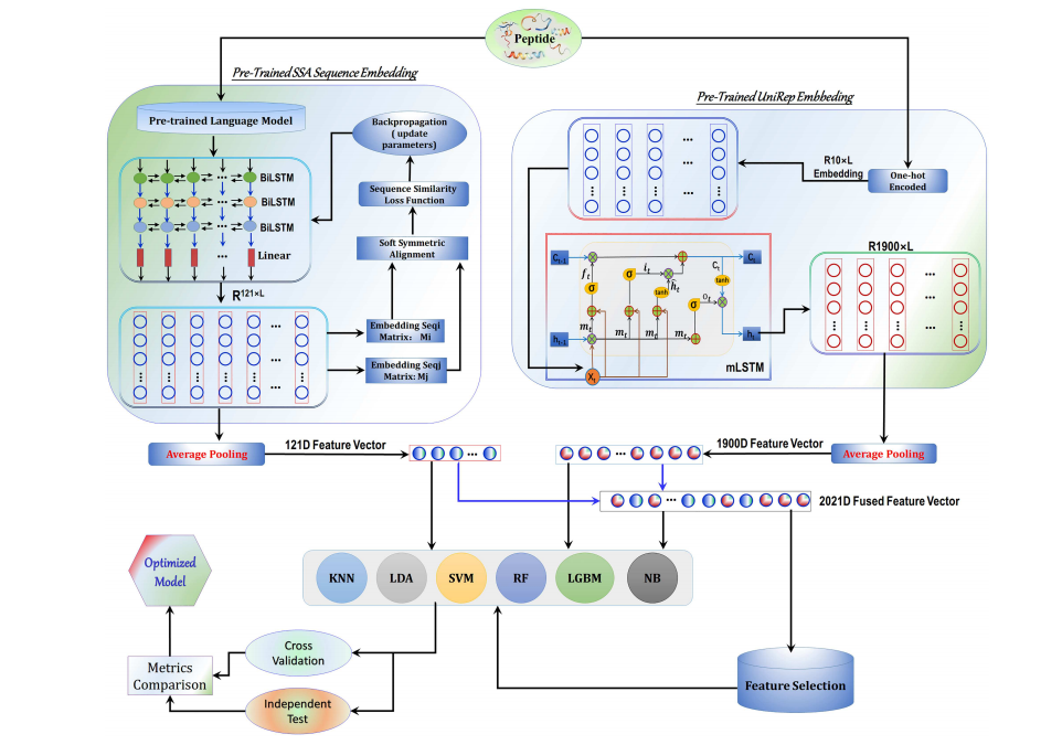 基于深度表征学习特征的抗癌肽预测_anticp2-CSDN博客