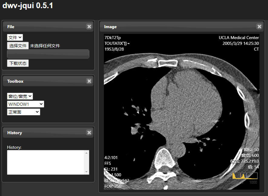 web dicom viewer_dicom web viewer-CSDN博客
