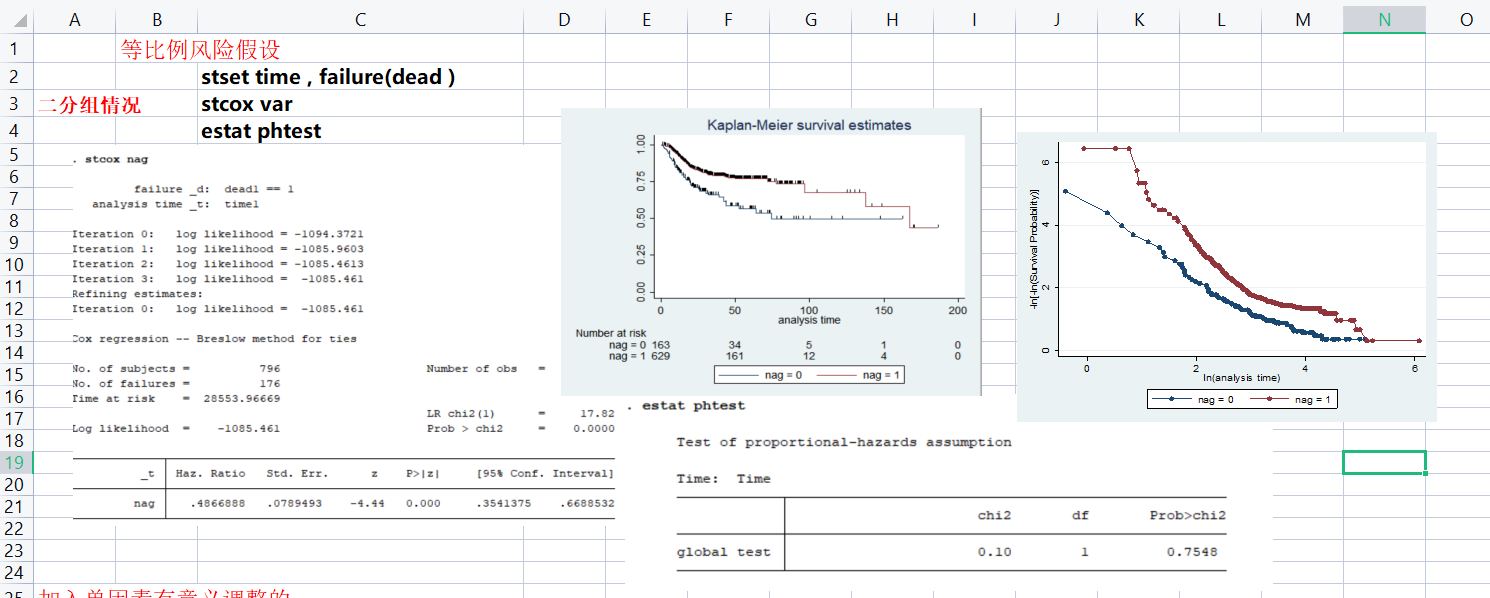 STATA 生存分析cox 等比例风险假设_stata cox比例风险-CSDN博客