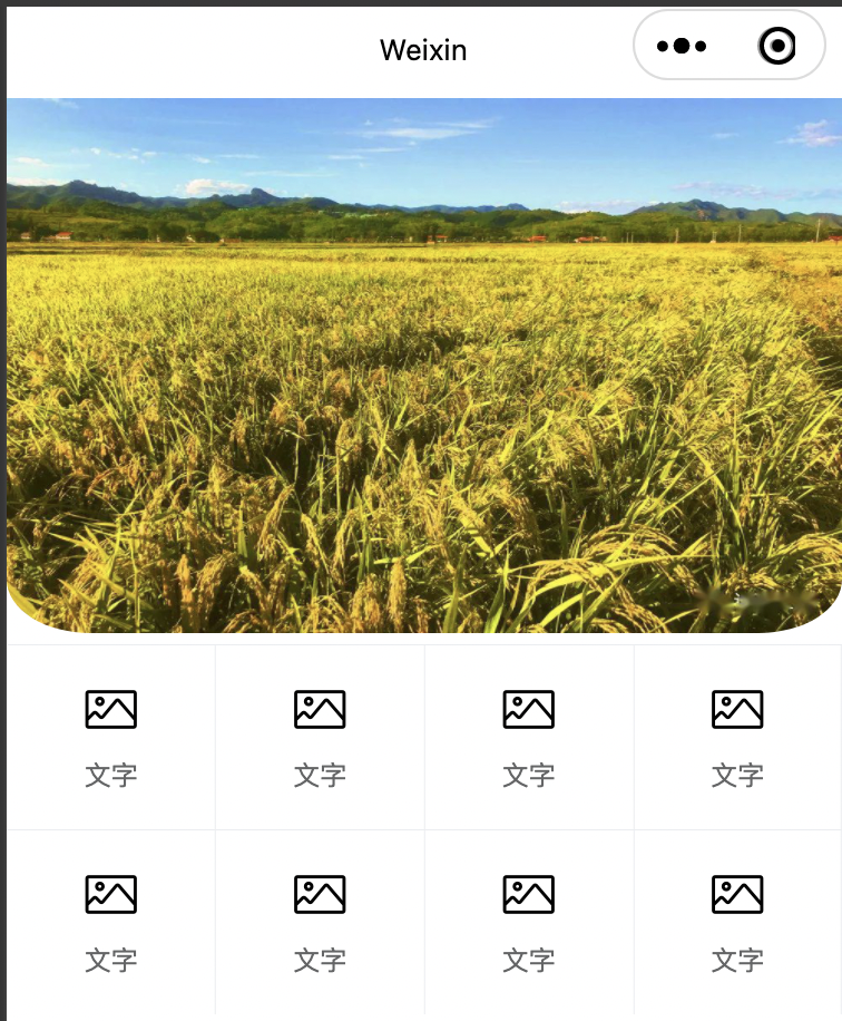 wxss 图片底部圆角 image标签_wxss图片下面20%变圆-CSDN博客