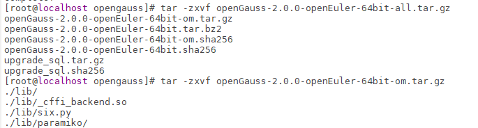 如何在openEuler操作系统中快速部署openGauss数据库_openeuler performance.sh-CSDN博客