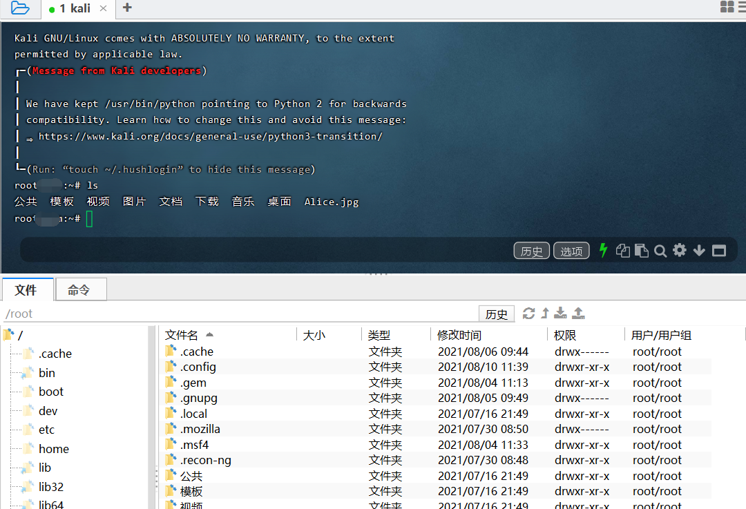 kali Linux开启ssh服务_kali linux开启ssh服务器-CSDN博客