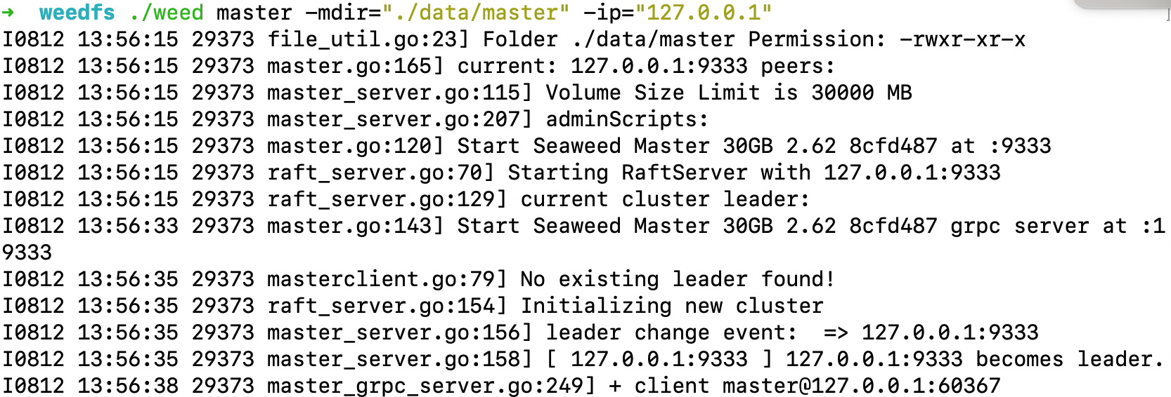 seaweedFS基本使用_seaweedfs官网-CSDN博客