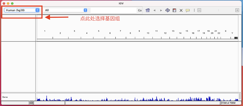 易基因 ｜ 生物信息学：igvtools 使用操作小技巧-CSDN博客