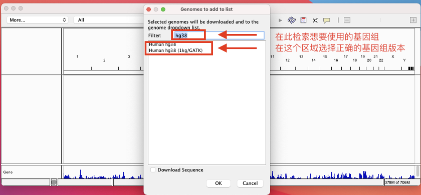 易基因 ｜ 生物信息学：igvtools 使用操作小技巧-CSDN博客