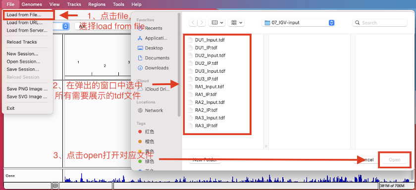 易基因 ｜ 生物信息学：igvtools 使用操作小技巧-CSDN博客