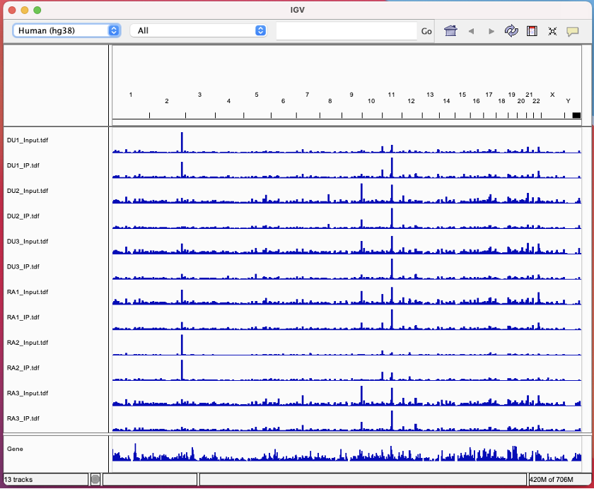 易基因 ｜ 生物信息学：igvtools 使用操作小技巧-CSDN博客