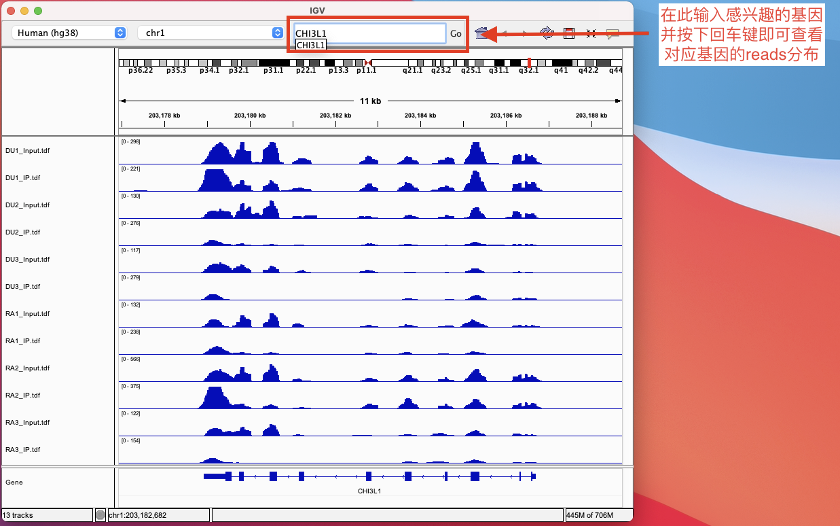 易基因 ｜ 生物信息学：igvtools 使用操作小技巧-CSDN博客