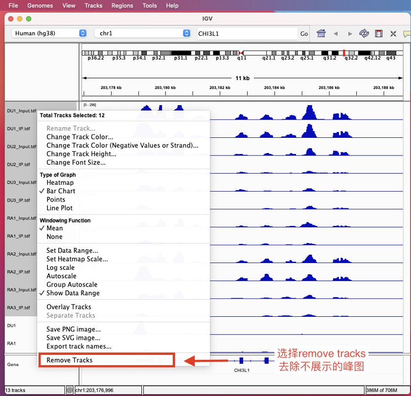 易基因 ｜ 生物信息学：igvtools 使用操作小技巧-CSDN博客