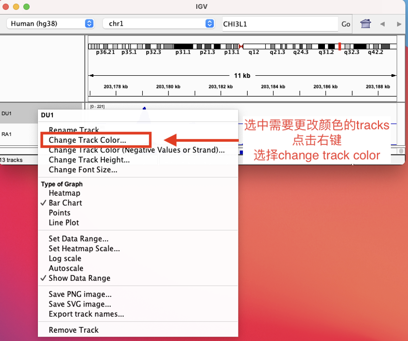 易基因 ｜ 生物信息学：igvtools 使用操作小技巧-CSDN博客