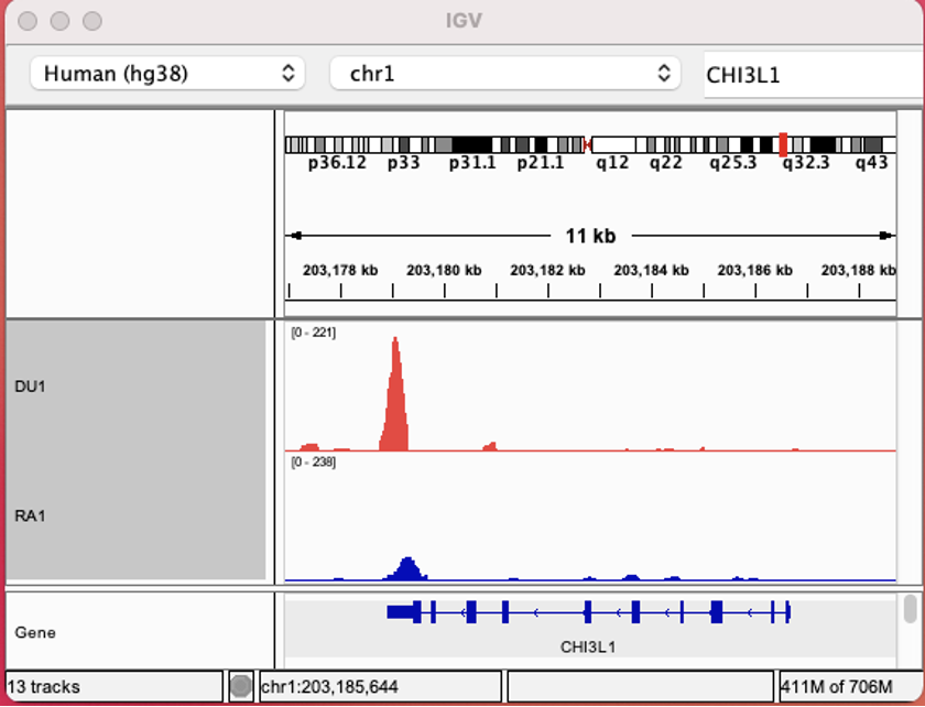 易基因 ｜ 生物信息学：igvtools 使用操作小技巧-CSDN博客