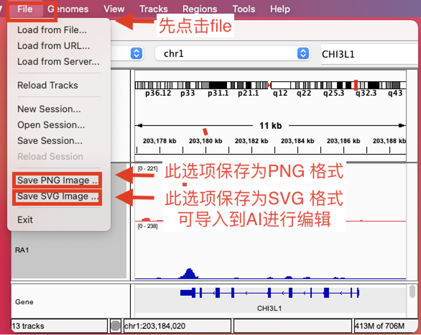 易基因 ｜ 生物信息学：igvtools 使用操作小技巧-CSDN博客
