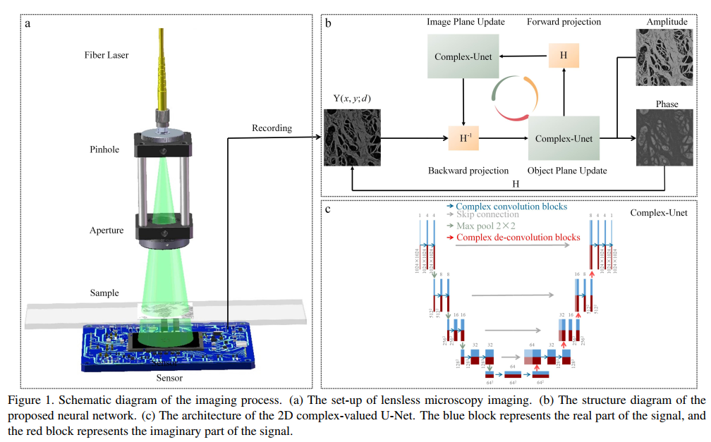Physics-based Iterative Projection Complex Neural Network for Phase Retrievalin Lensless ...