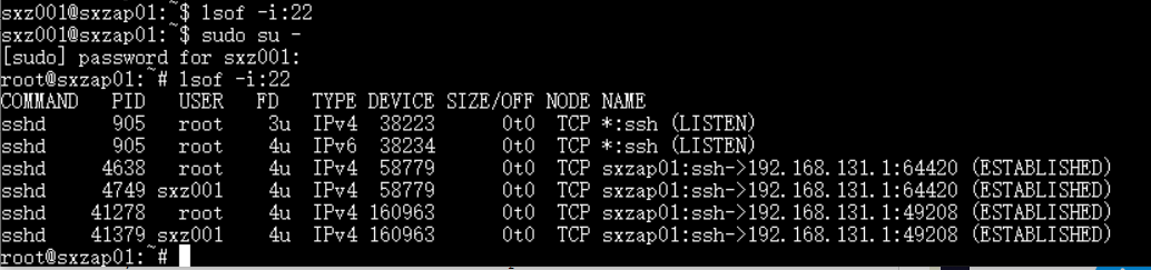 Linux命令 lsof -i:端口号 ——有什么用途-CSDN博客
