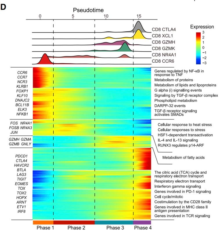 答读者问(5)：提取monocle2的拟时序/坐标重新画图_提取亚群做拟时序分析monocle2-CSDN博客