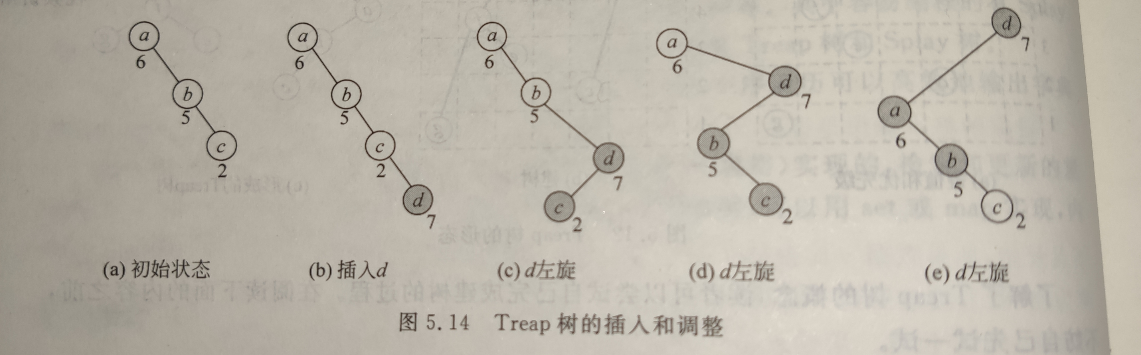 Treap树实现-CSDN博客