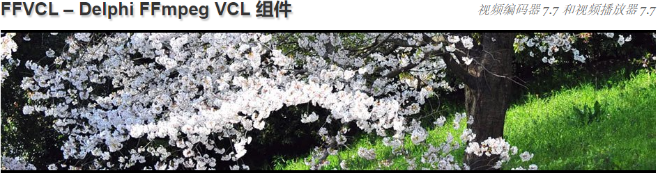 7.7.0:FFVCL Delphi FFmpeg VCL Crack-CSDN博客