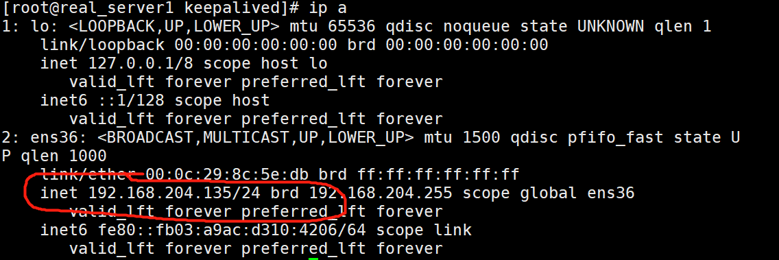 keepalived安装以及主备配置详解_keepalived主备配置-CSDN博客