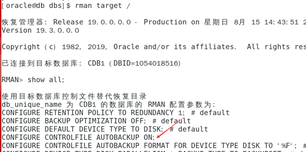 四种方法恢复控制文件_restore controlfile from-CSDN博客