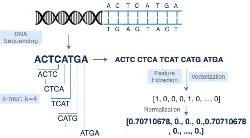 用 AI 识别基因，从向量化 DNA 序列开始_ai 基因表达-CSDN博客