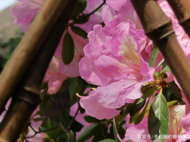 RYYB图像格式学习-CSDN博客