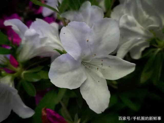 RYYB图像格式学习-CSDN博客