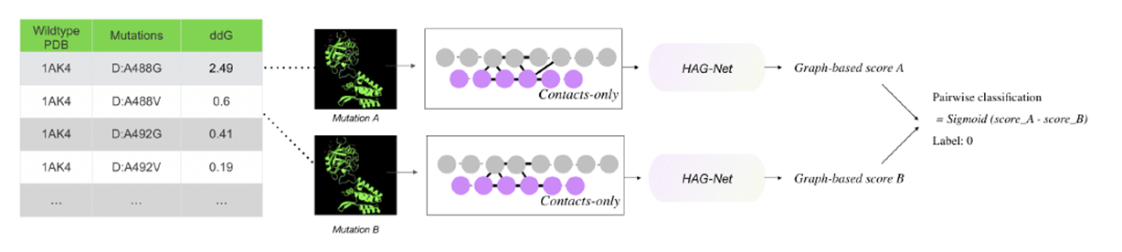 基于序列的深度学习抗体设计及其在电子抗体亲和力成熟中的应用_蛋白质flex ddg-CSDN博客