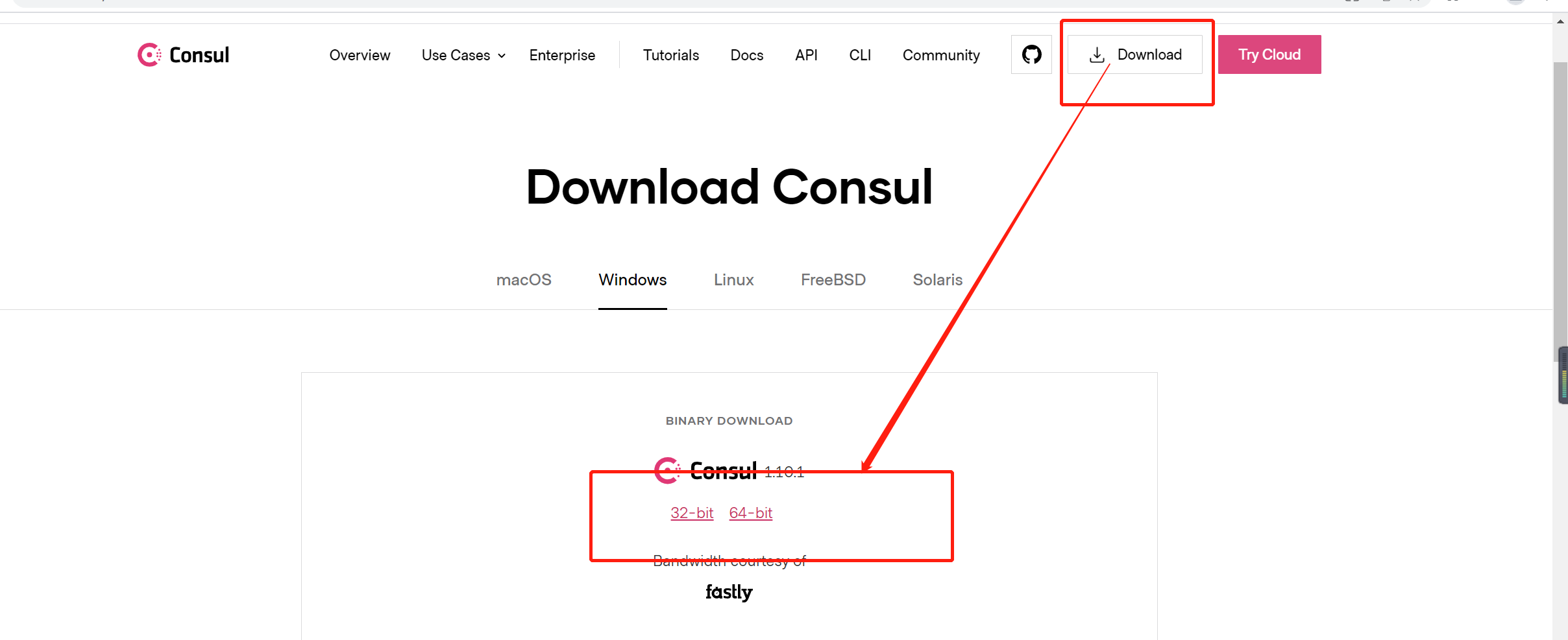 consul下载以及环境变量配置_spring cloud consul下载-CSDN博客