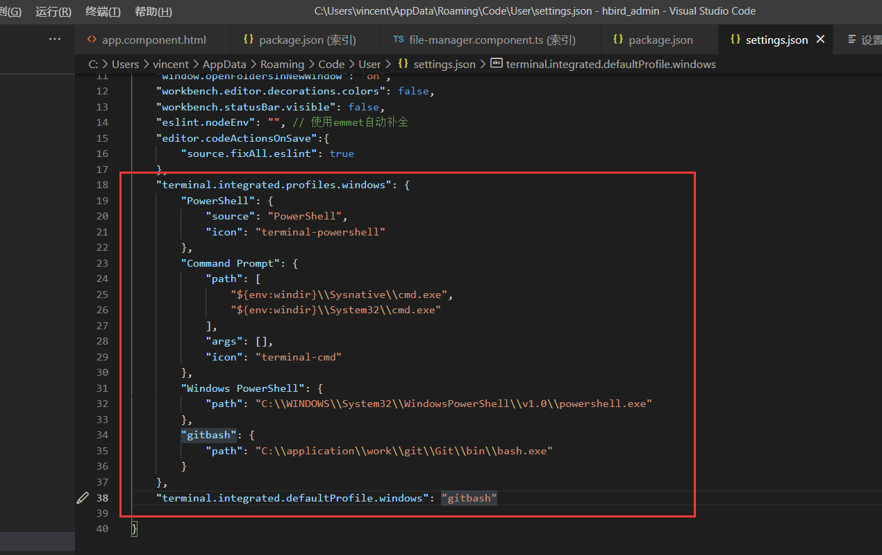在vscode中配置终端集成bash 在visual中安装bash端口 Csdn博客
