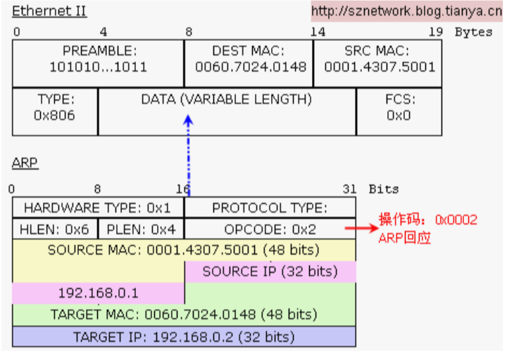 Ping经过路由器的运行过程解析_ping路由-CSDN博客