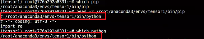 anaconda报错【-bash: /root/anaconda3/bin/python:bad interpreter: Invalid argument】-CSDN博客
