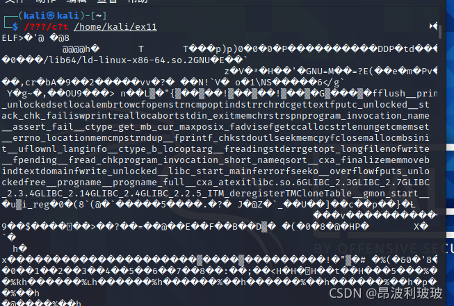 Rce通配符绕过 Csdn博客