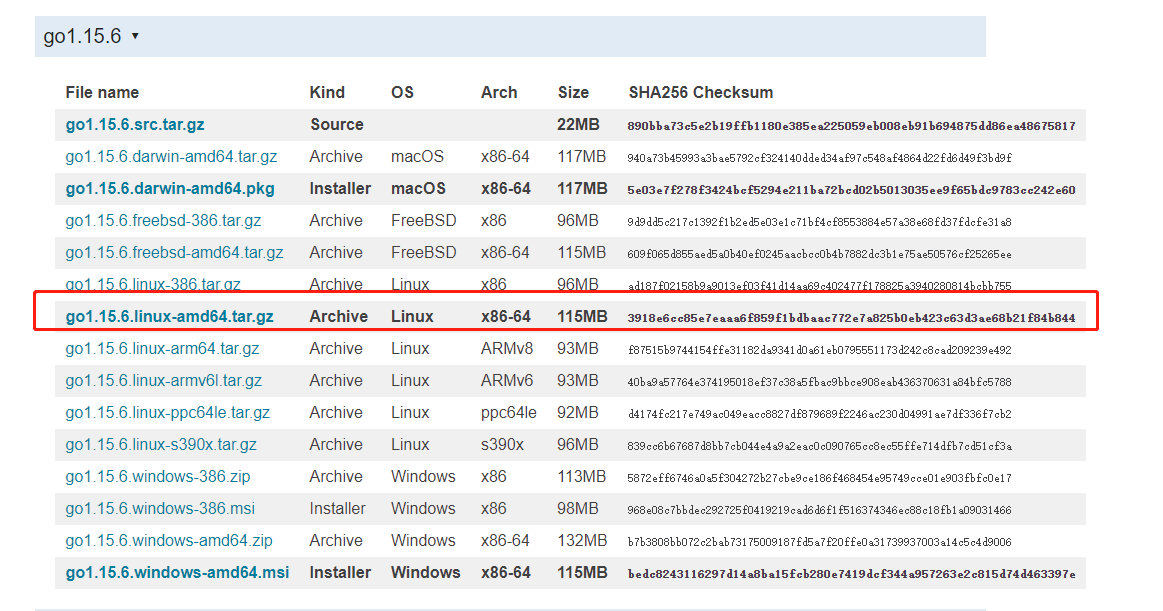 Go Linux x86_64 安装_go语言安装x86-CSDN博客