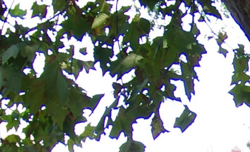 ISP调试中的一些问题现象（持续更新）_crosstalk和false color-CSDN博客