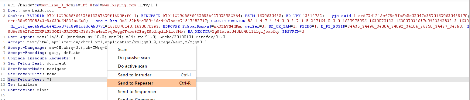 Burpsuite——Repeater_burpsuite repeater发送没反应-CSDN博客